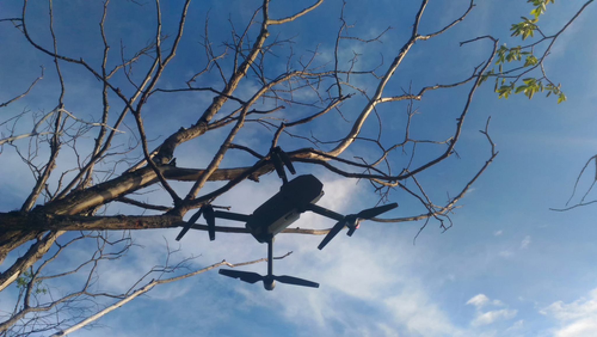 How To Get A Drone Out Of A Tree? | 6 HACKS To Get Your Drone Out Of ...