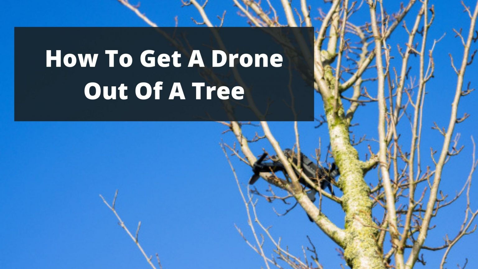 How To Get A Drone Out Of A Tree? | 6 HACKS To Get Your Drone Out Of ...